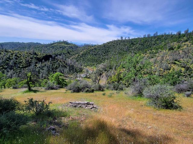 Lot 266 Cottonwood Creek Road