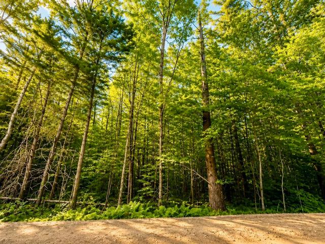 Lot 260 15 2nd NH Turnpike