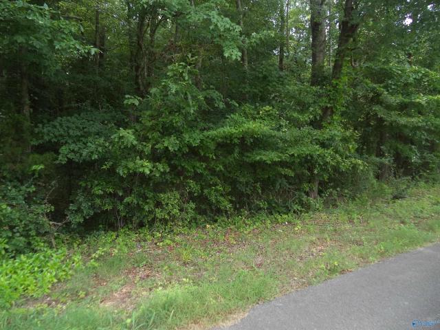 Lot 26 Cottonwood Drive