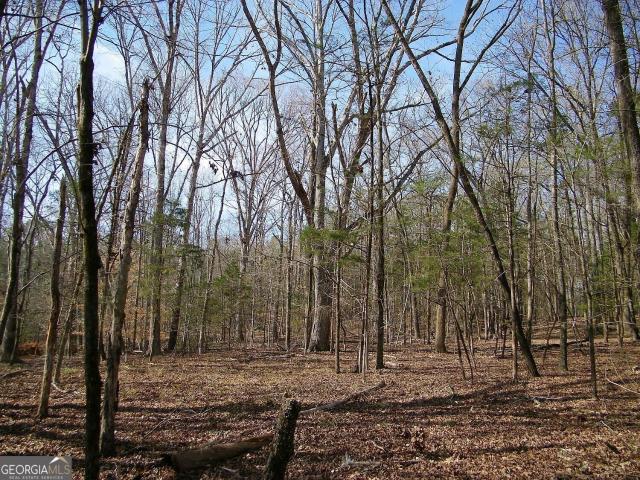 Lot 26 Benjamin Brown Ct, Elberton, GA 30635 | MLS #10477 | Compass