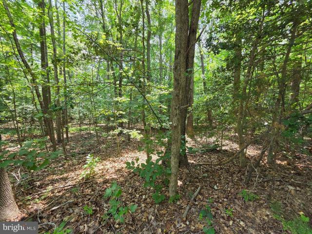 Lot 26 Greenpoint Landing Road