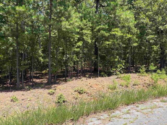 Lot 26 Island Shores