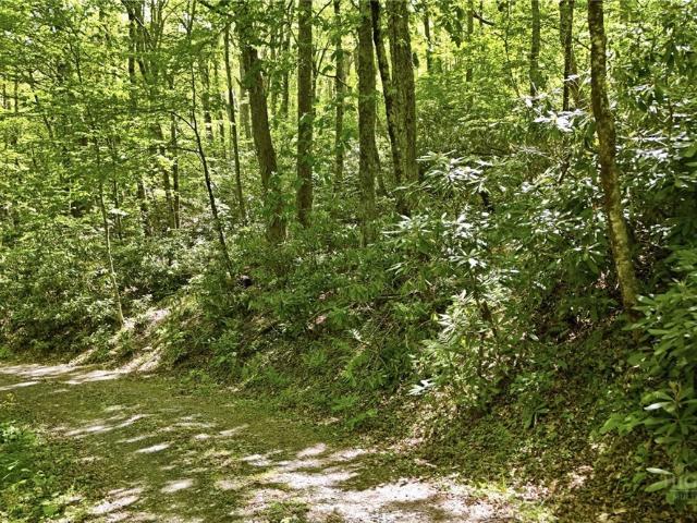 Lot #26 Snow Ridge Road
