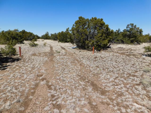 Lot 26 Spring Canyon Cir