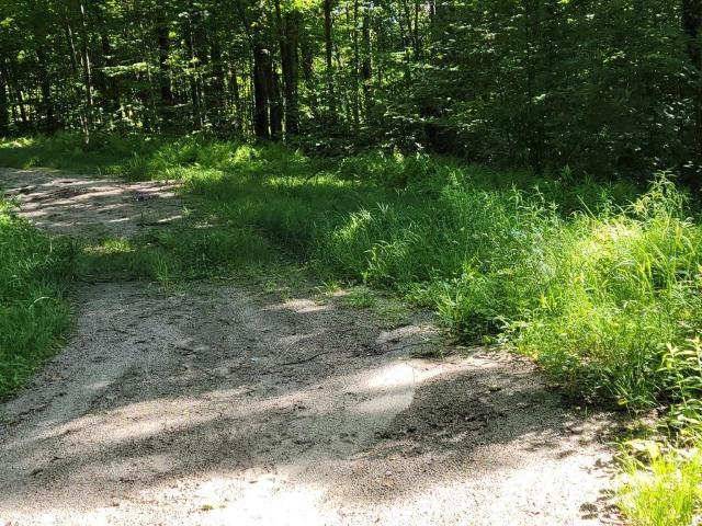 Lot 26 Presidential View Lane