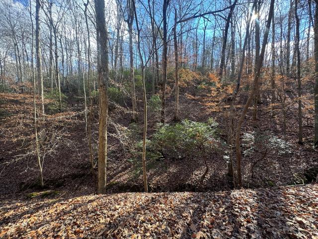 Lot 2749 Nimrod Ct, Ellijay, GA 30540 | MLS #422261