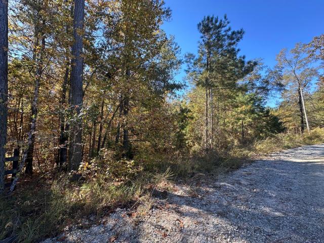 Lot 27&28 Lakeshore Estates Drive # 27 & 28