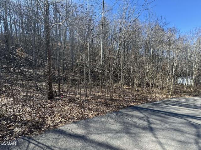 Lot 27 Blue Springs Way
