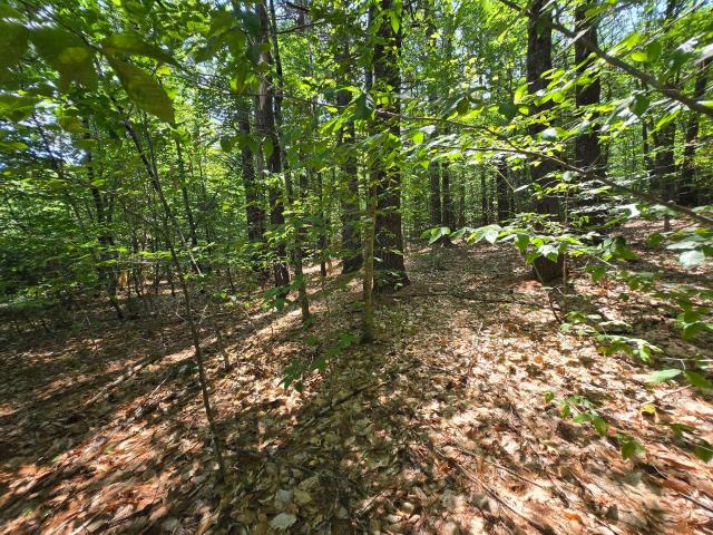 Lot 27 Davis Hill Road