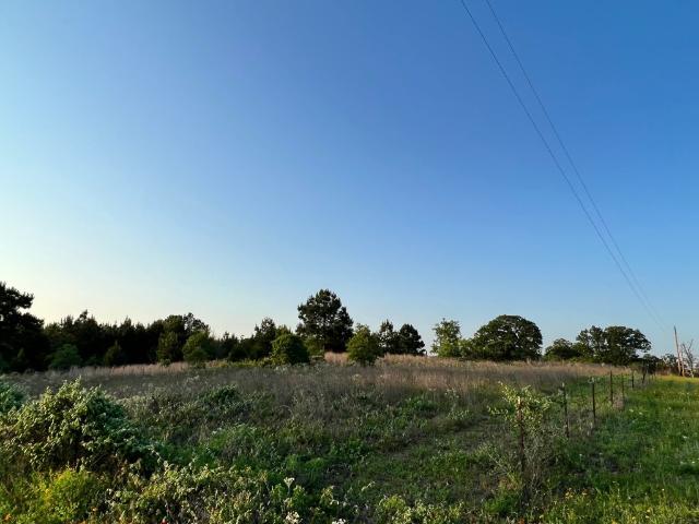 Lot 27 Kinsey Rd, Paige, TX 78659 | MLS #4857
