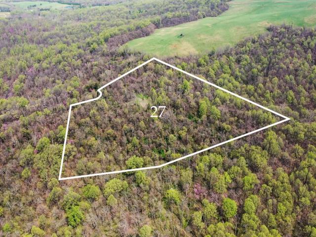 Lot 27 Hawthorne Dr, Rapidan, VA 22733 | MLS #VAOR2010