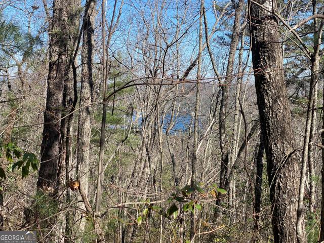 LOT 27 Lake Rabun Bluffs