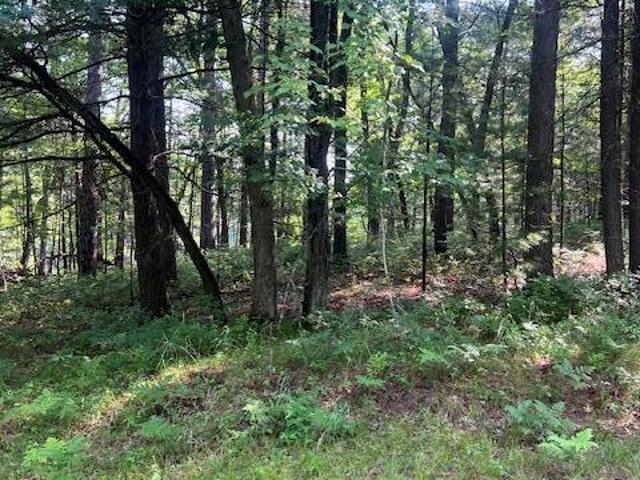 Lot 27 Little Bear Drive