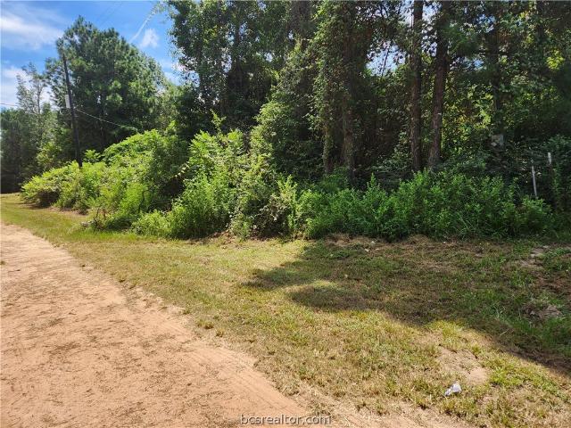 Lot 27 Mayhaw Lane