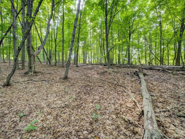 Lot 27 W Harbour Ridge # Lot: 27