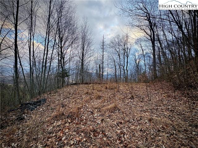 Lot 27 Wren Cove Lane