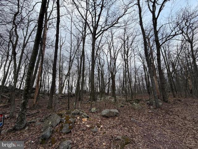 Lot 287.1 Spring Mountain Dr