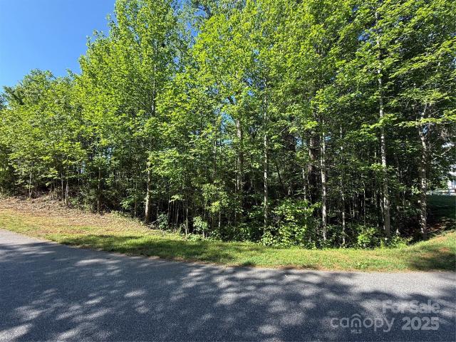 Lot 280 Whitman Ct, Unit 280, Taylorsville, NC 28681 | MLS #3811
