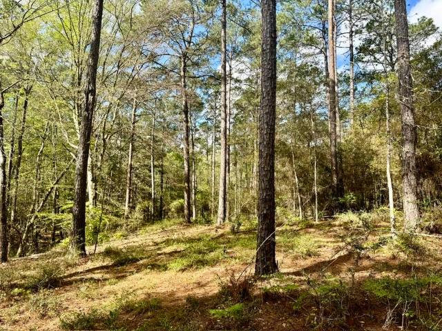 Lot 281 Lakeland Ranch Drive