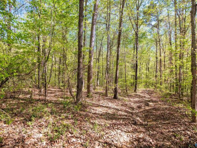 LOT 28 County Road 279
