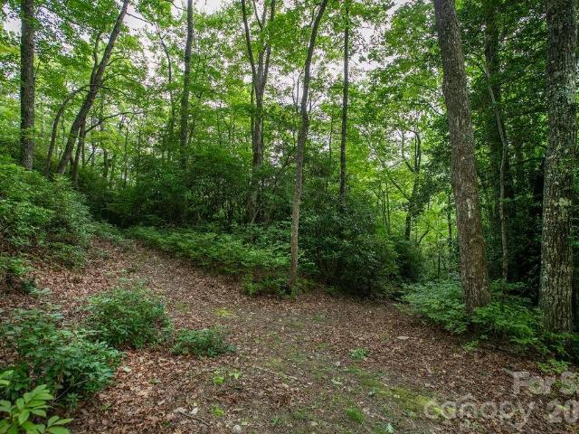 Lot 28 Big Hill Road # 28