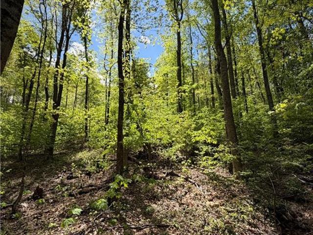 Lot#28 Bluff Ridge Road