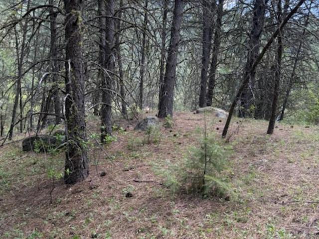Lot 28 Fire Ridge Rd