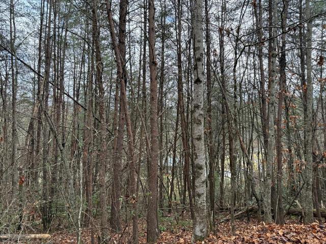 Lot 28 Ideal Acres