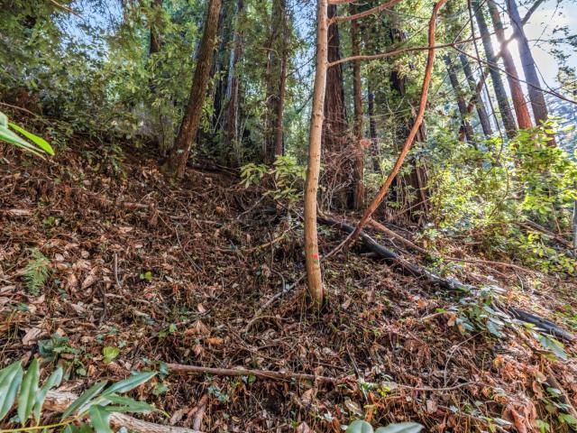 Lot 28 La Lena St, Felton, CA 95018 | MLS #ML82013