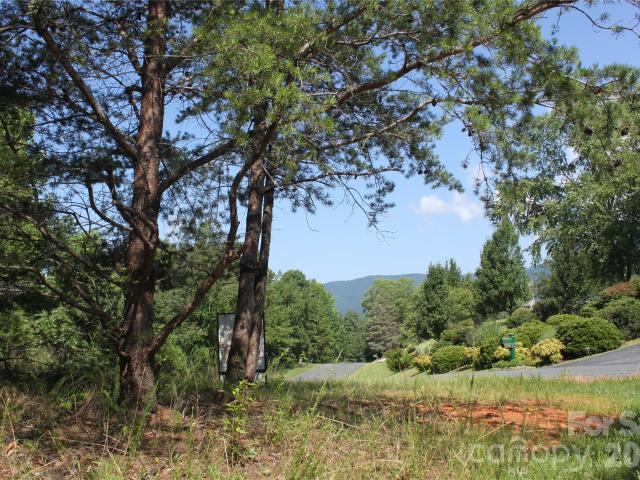 Lot #28 Lake Adger Pkwy, Unit 28, Mill Spring, NC 28756 | MLS #4222