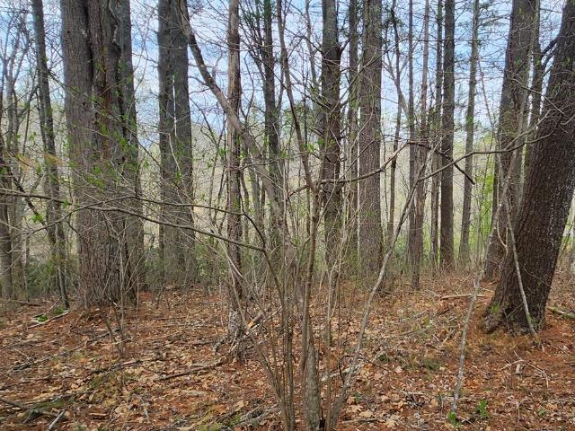 Lot 28 Manor House Dr