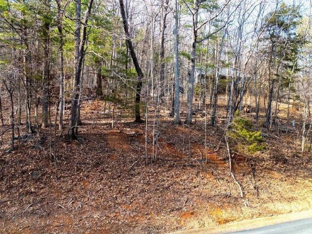 Lot 28 Stone Chimneys Rd # 28