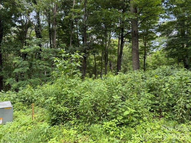 Lot 28 Toi Trail # 28
