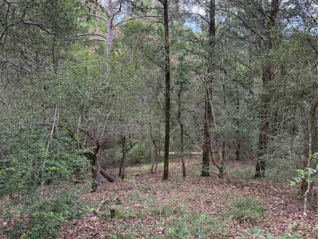 Lot 294 Aka Ct