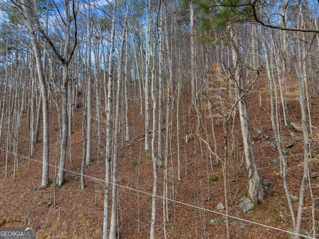 LOT 2965 Monticello Drive