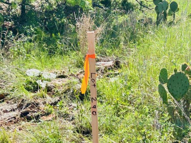 Lot 290 Beacon Drive