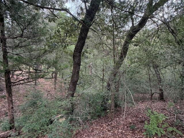 Lot 293 Aka Ct