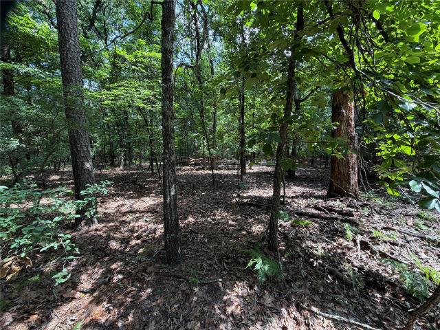 Lot 29 & 30 King Arthur Court