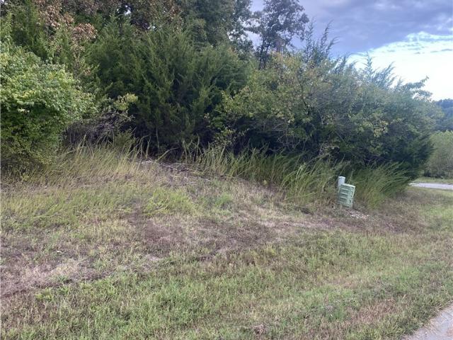 Lot 29 Country Club Cove Drive