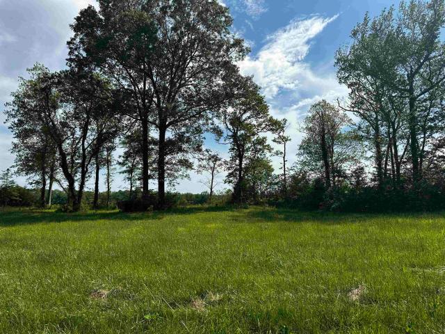 Lot 29 catfish ln
