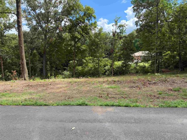 Lot 29 Ashmore Cir