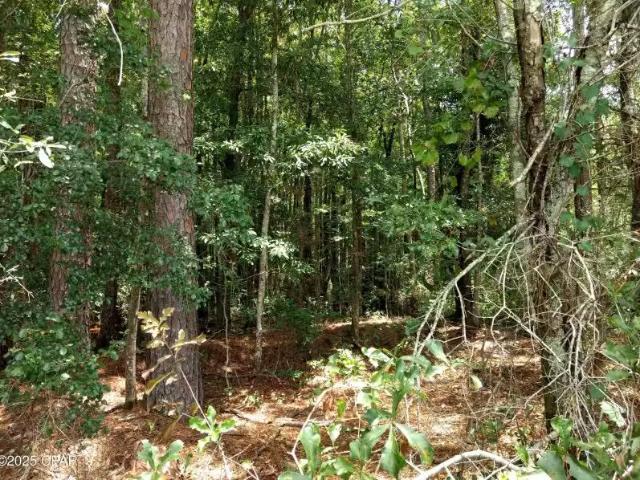 Lot 29 Beech Dr, Westville, FL 32464 MLS 767111