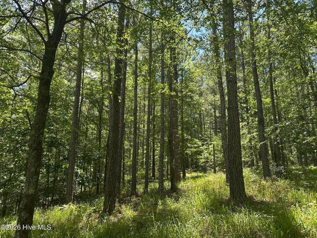 Lot 29 Honeysuckle Trail