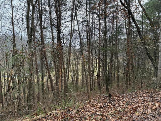 Lot 29 Ideal Acres