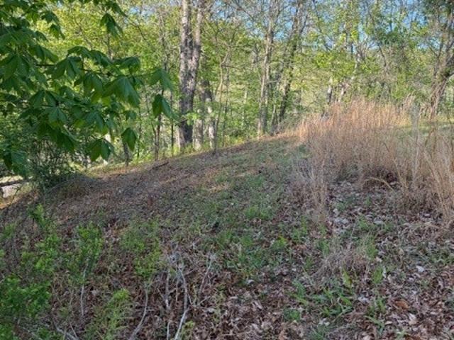 Lot #29 Isabel Way