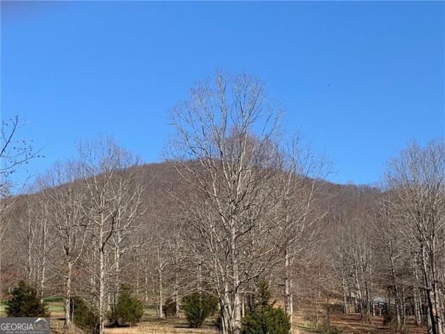 LOT 29 Long Mountain Trail