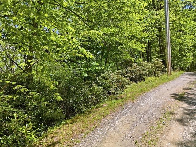 Lot#29 Snow Ridge Road