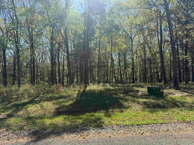 Lot 29 Shiloh Landing Pointe