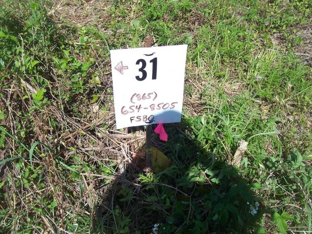 Lot 29 Splendor Way