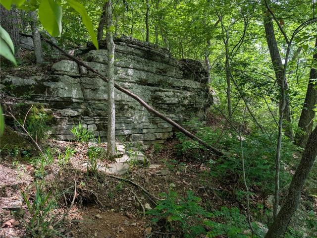 Lot 29 Spring Road